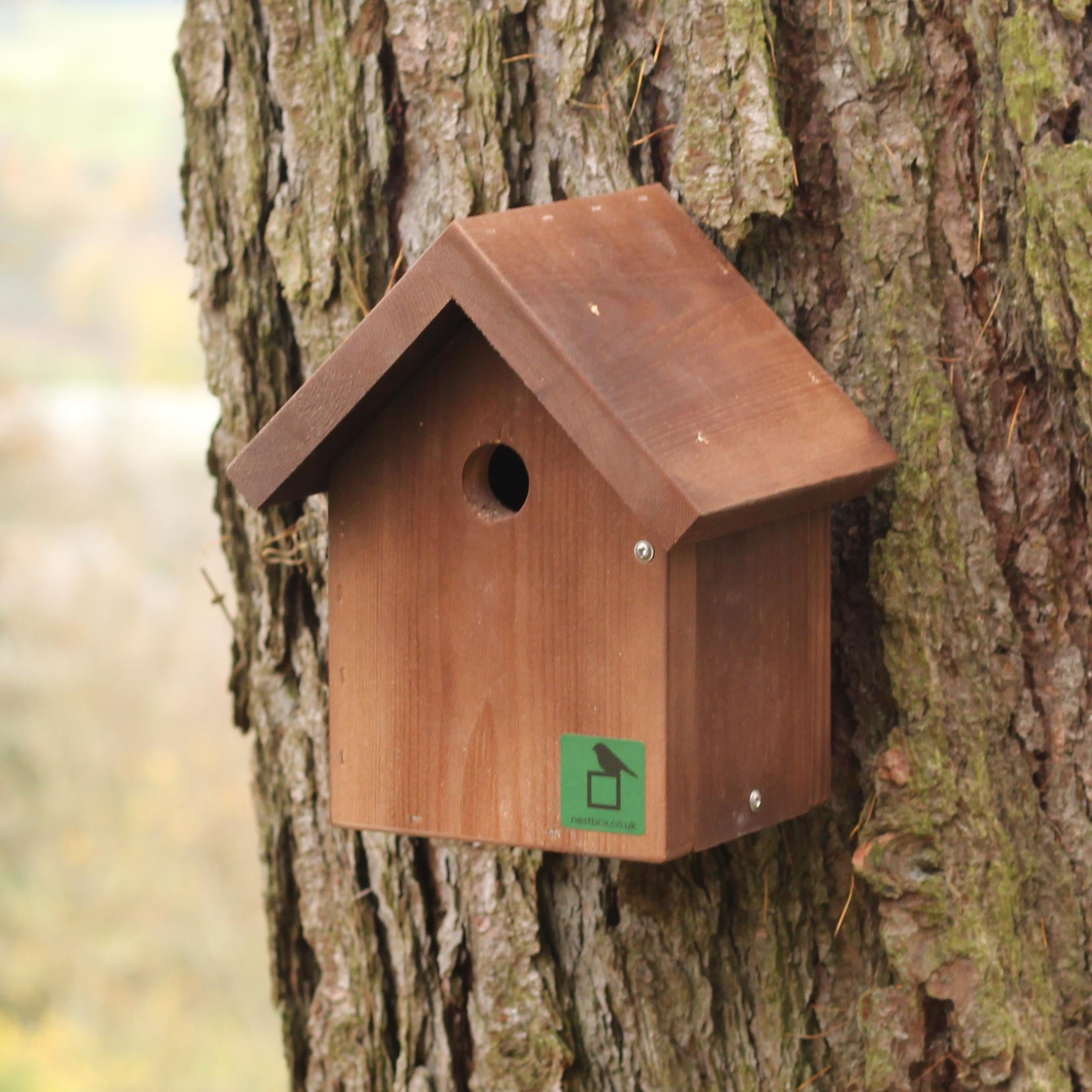 Apex Bird Box | The Nestbox Company