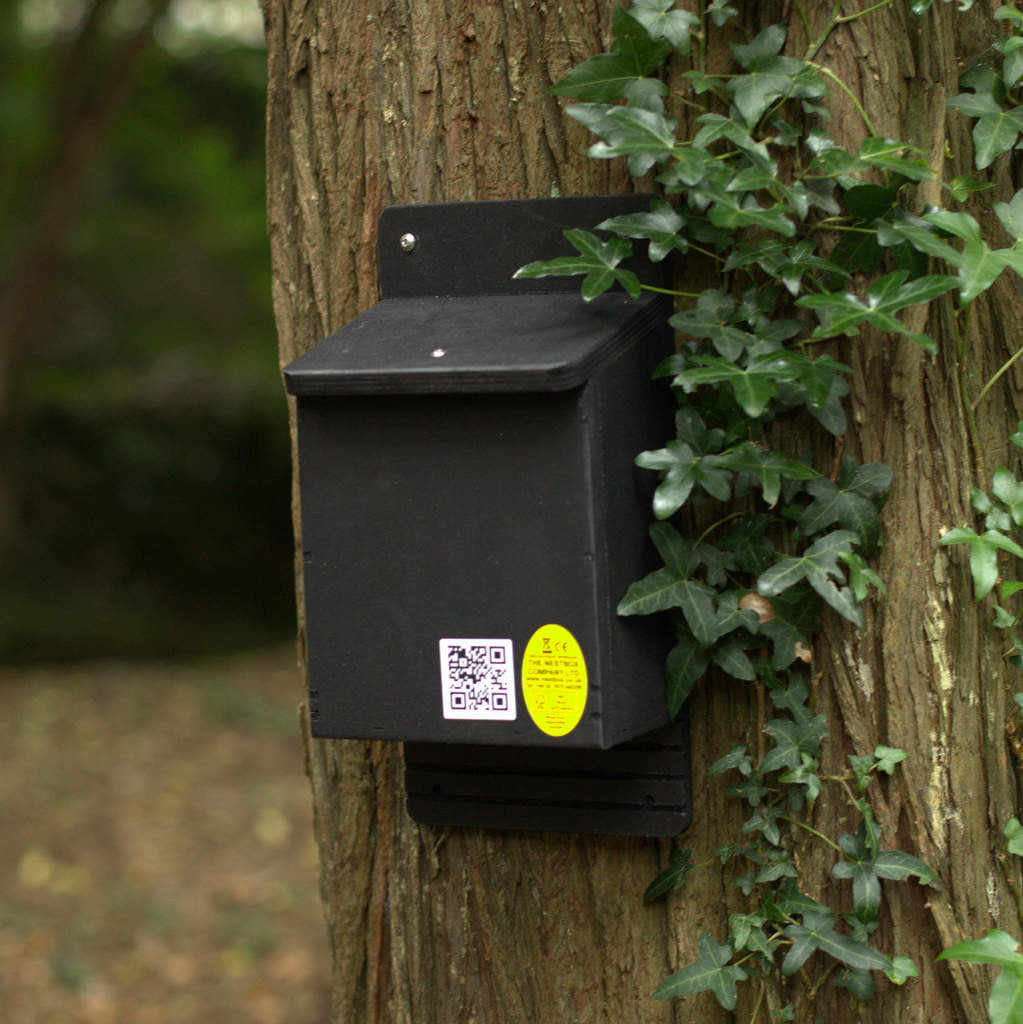Crevice Bat Box | The Nestbox Company