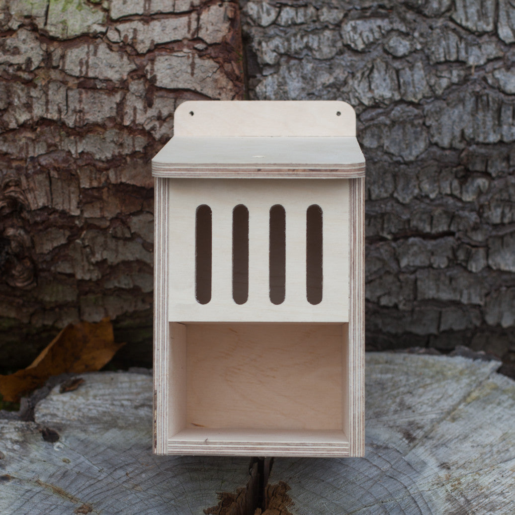 Bug Box Kit | The Nestbox Company
