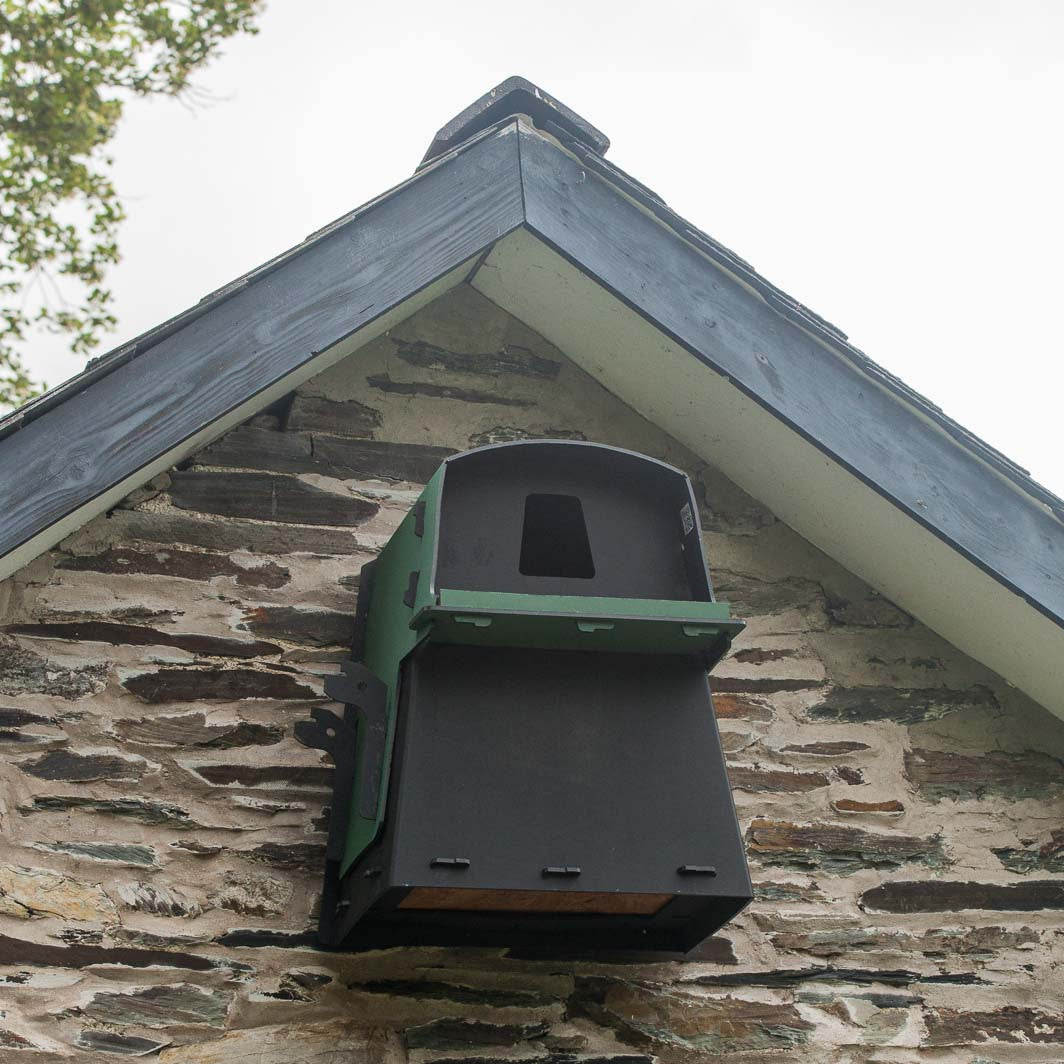 Eco Barn Owl Nest Box | The Nestbox Company