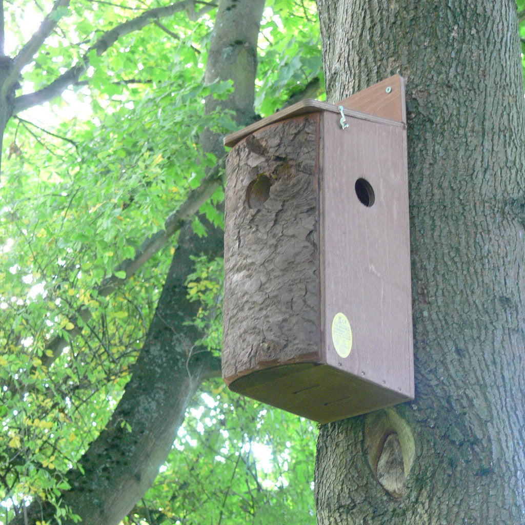Red Squirrel Nest Box | The Nestbox Company