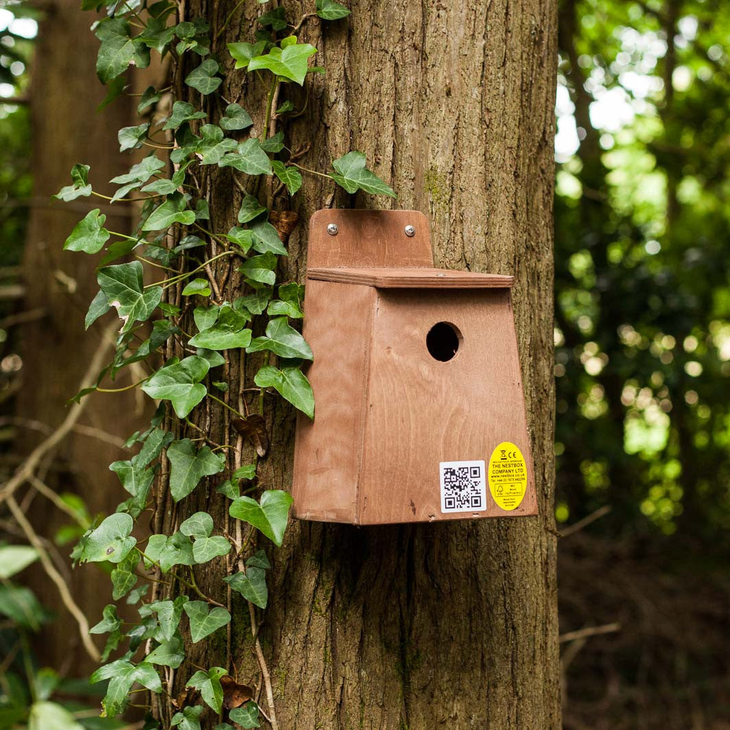 Small Bird Nest Box | The Nestbox Company