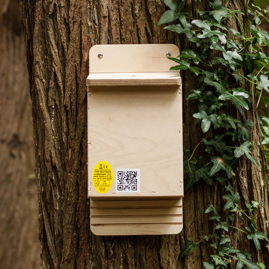 Traditional Bat Box | The Nestbox Company