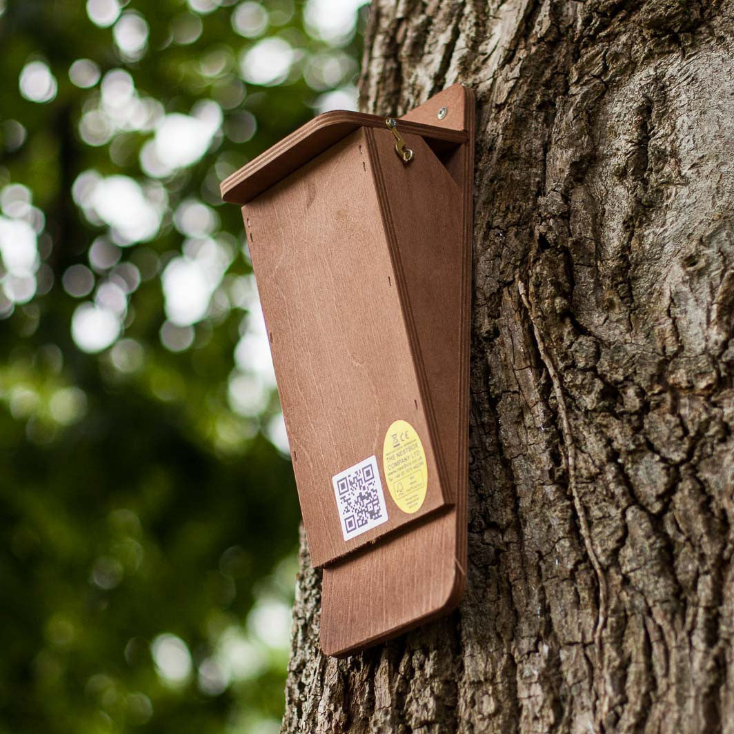 Treecreeper Nest Box | The Nestbox Company