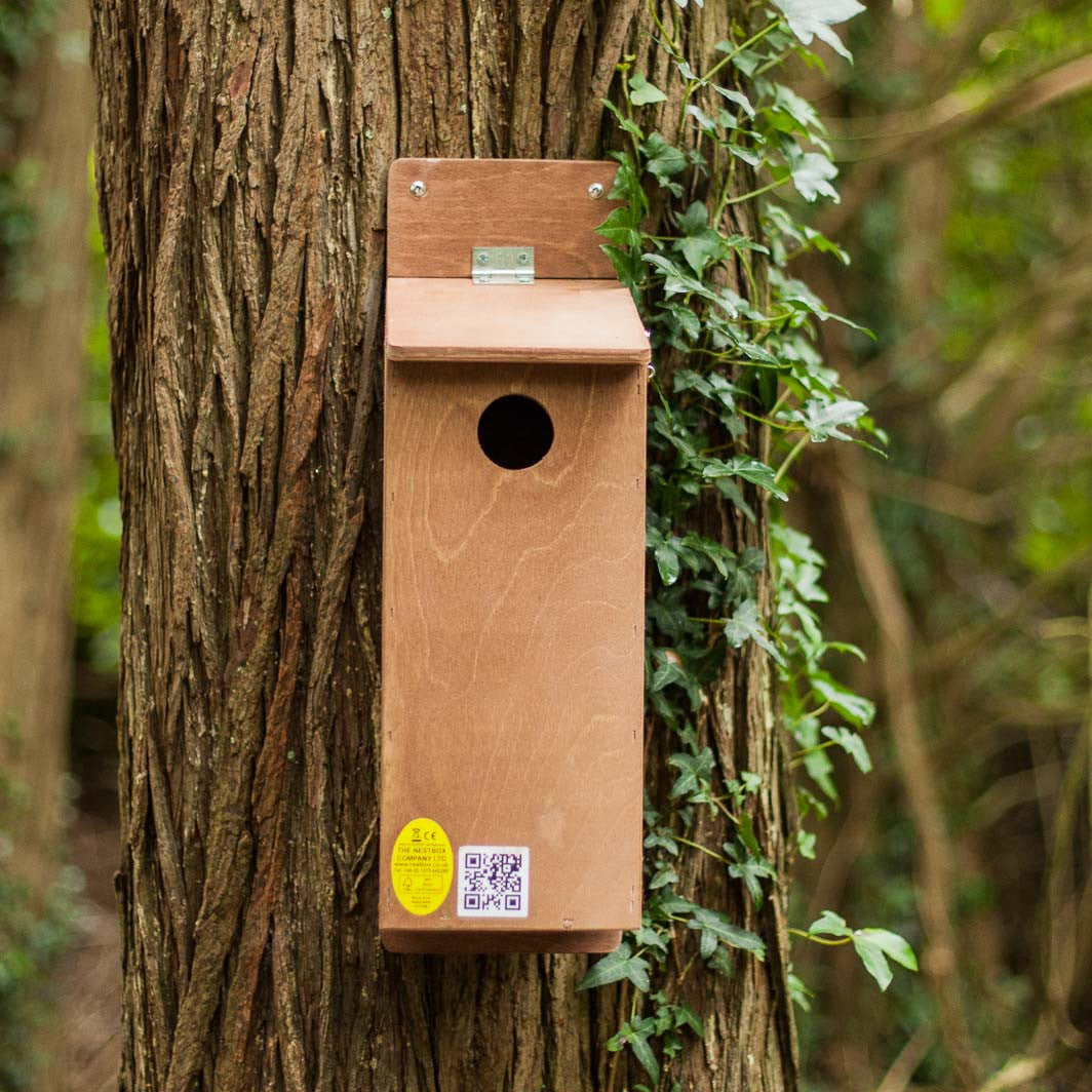 Starling Nest Box | The Nestbox Company