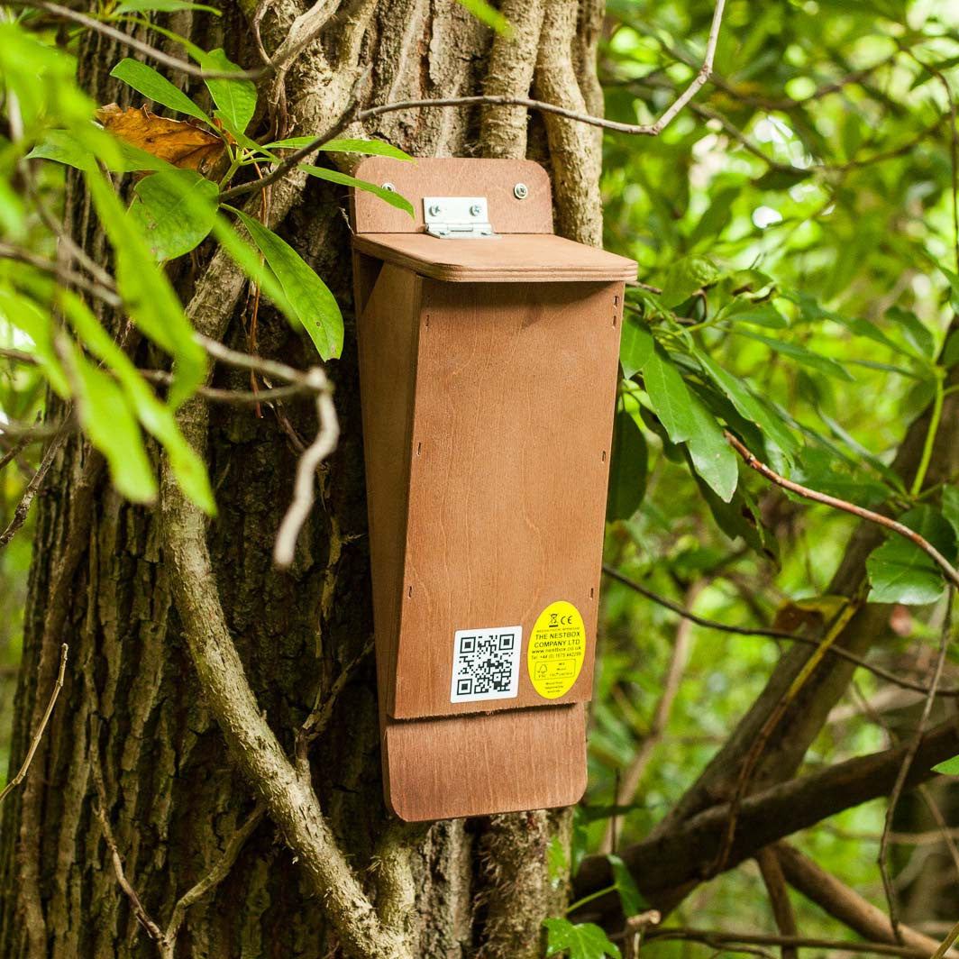 Treecreeper Nest Box | The Nestbox Company